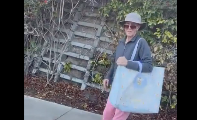 Grandma Caught Stealing Republican Yard Signs | Patriotic Alert